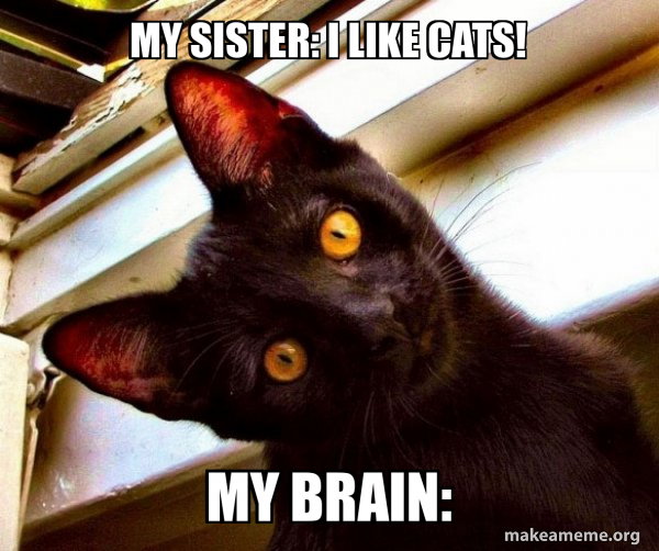 My sister: I like cats! My brain: - Overly Attached Cat Meme Generator