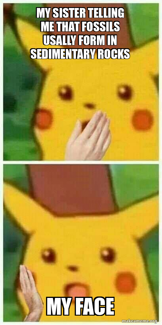 my sister telling me that fossils usally form IN SEDIMENTARY ROCKS my ...
