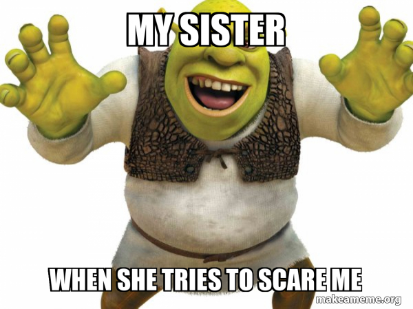 My sister When she tries to scare me - Shrek Meme Generator