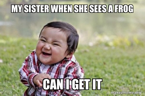 my sister when she sees a frog can i get it - Evil, scheming toddler Meme Generator