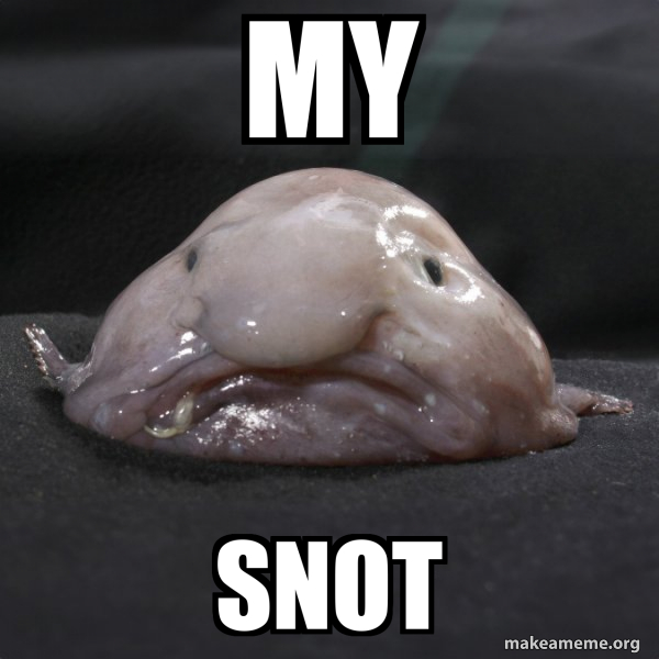 my snot - Blobfish Meme Generator