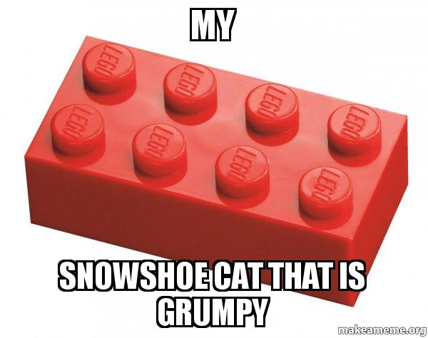 my snowshoe cat that is grumpy - Lego meme Meme Generator