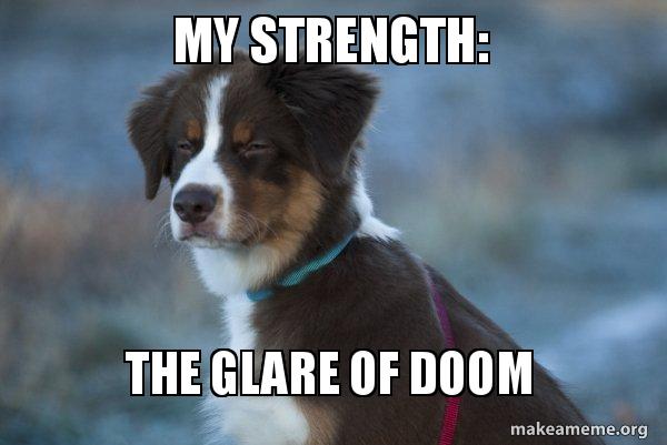 My strength: the glare of DOOM - Unsure Dog Meme Generator