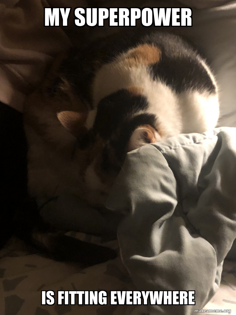 My superpower Is fitting everywhere Meme Generator