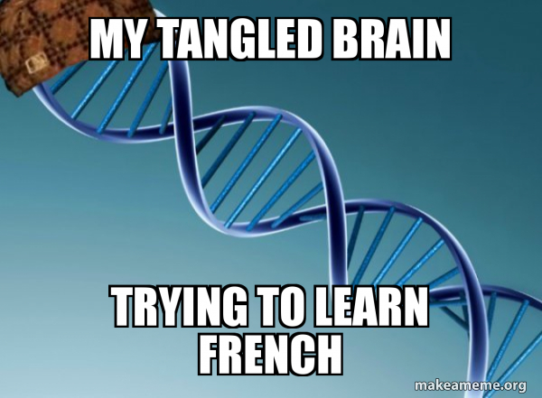 My Tangled Brain Trying to learn French - Scumbag Genetics Meme Generator