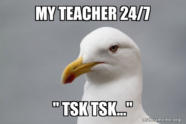 my teacher 24/7 " TSK TSK..." - Stuff That Didn't Happen Seagull Meme Generator