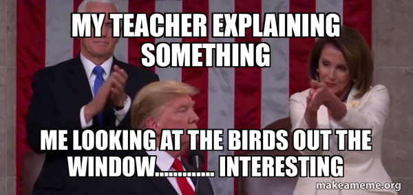 My teacher explaining something Me looking at the birds out the window ...
