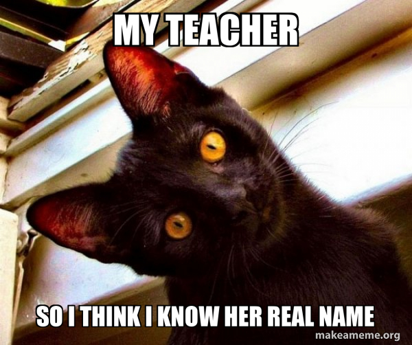 My teacher so i think i know her real name - Overly Attached Cat Meme ...