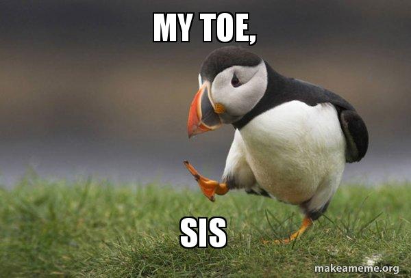 My toe, sis - Unpopular Opinion Puffin Meme Generator