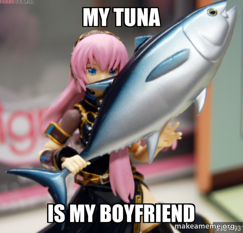 my tuna is my boyfriend Meme Generator
