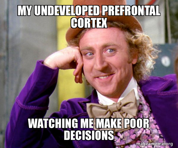 my undeveloped prefrontal cortex watching me make poor decisions ...