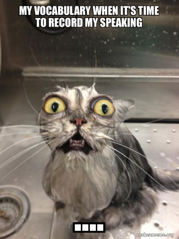 my vocabulary when it's time to record my speaking …. - Cat bath Meme ...