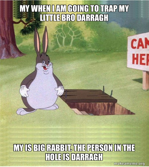 My when i am going to trap my little bro darragh My is big rabbit. The ...
