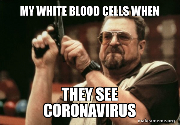 My white blood cells when they see Coronavirus - Am I the only one Meme ...