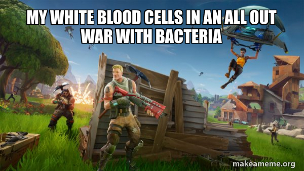 My White blood Cells in an all out war with Bacteria - Fortnite Battle ...