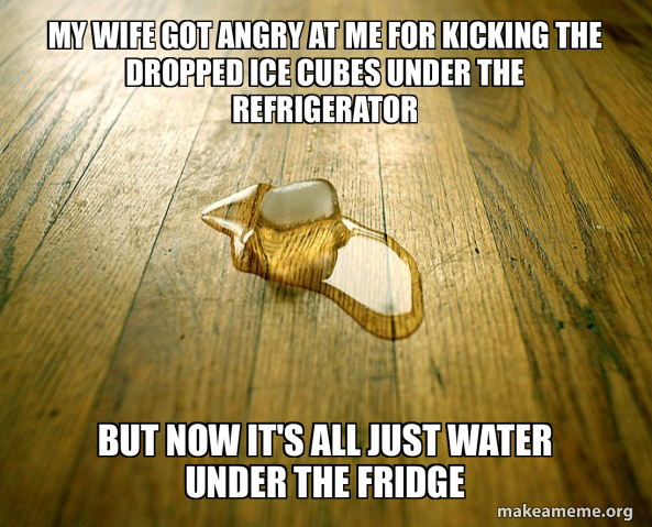 My wife got angry at me for kicking the dropped ice cubes under the ...