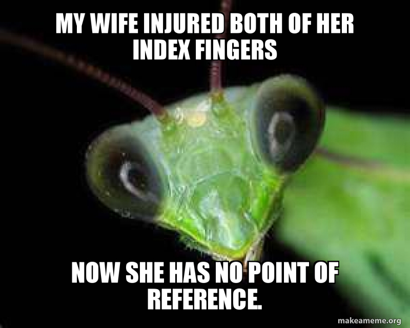 My wife injured both of her index fingers Now she has no point of ...