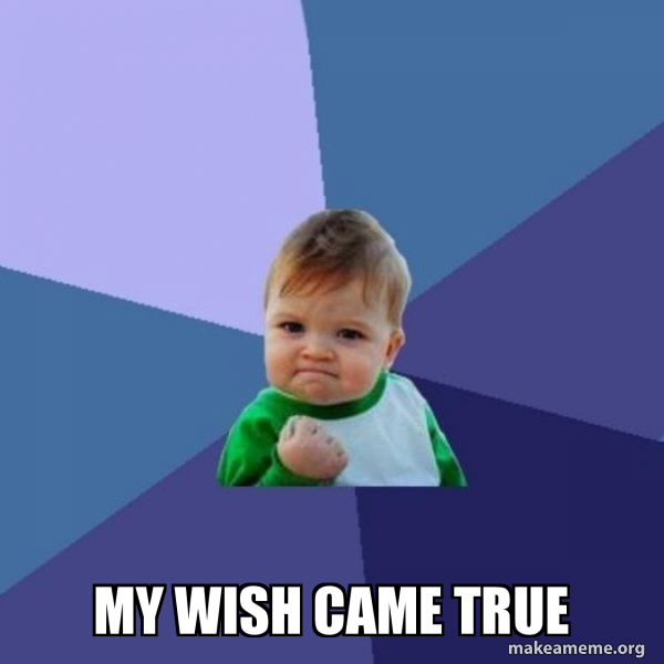 My Wish Came True - Success Kid Meme Generator