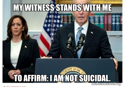 my witness stands with me to affirm: i am not suicidal. Meme Generator