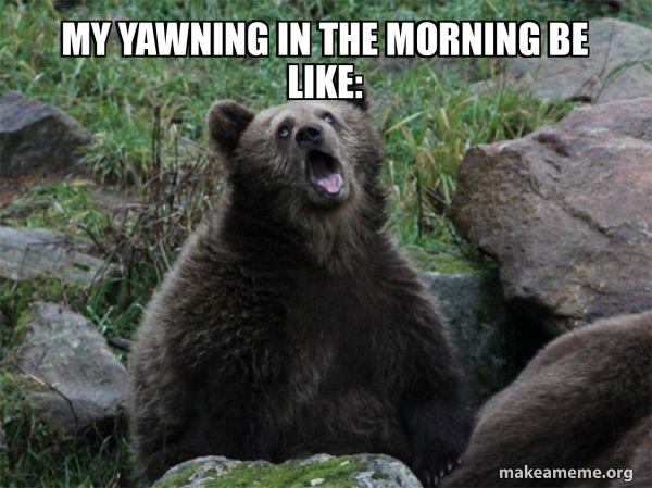 My yawning in the morning be like: - Sarcastic Bear Meme Generator