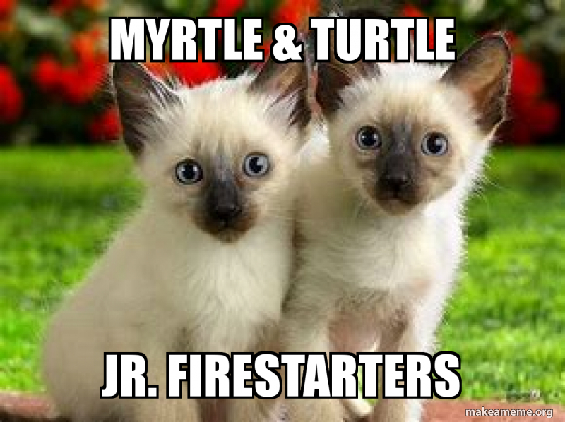 myrtle & turtle jr. firestarters Meme Generator