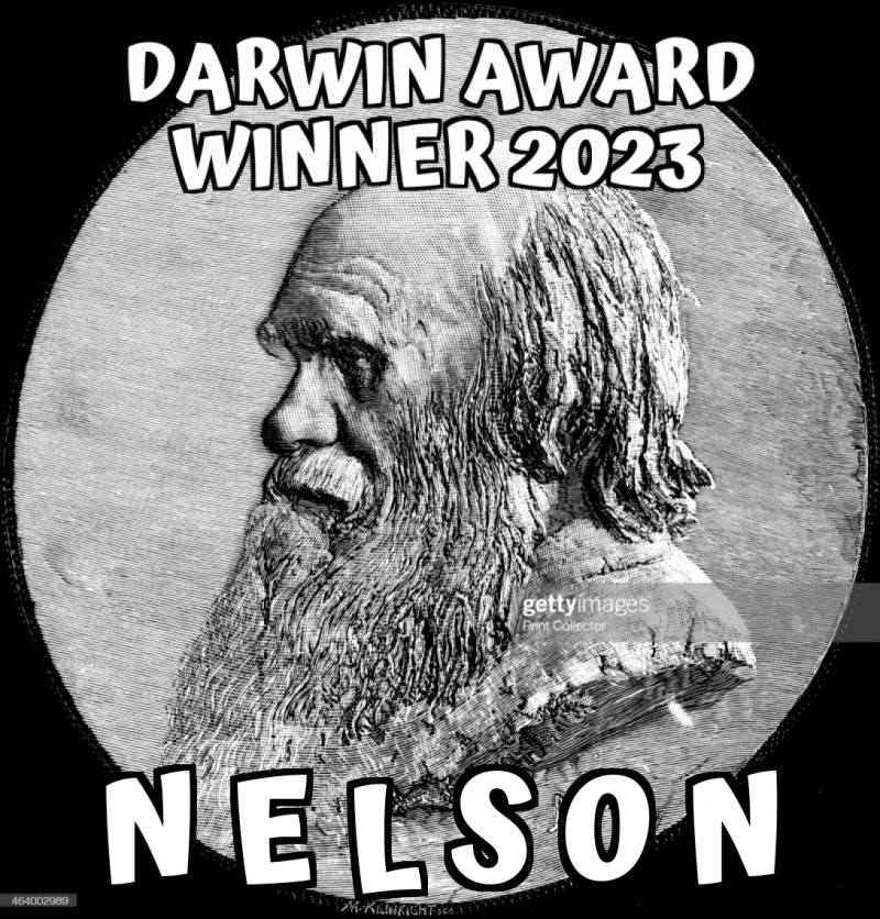 N e l s o n Meme Generator