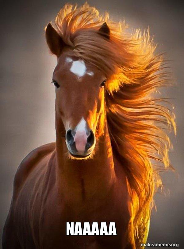 Naaaaa - Ridiculously photogenic horse Meme Generator