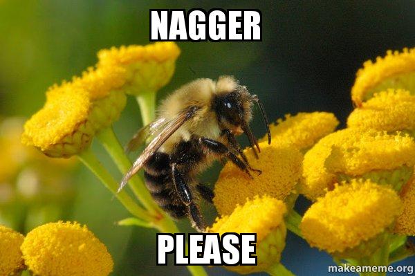 nagger please - Good Guy Bee Meme Generator