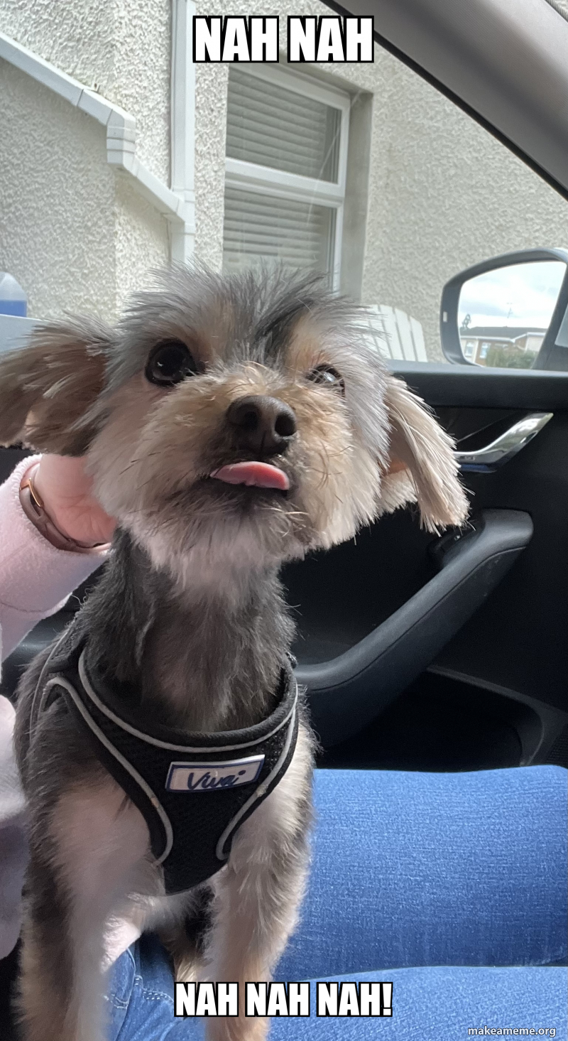 Nah nah NAH NAH NAH! Meme Generator