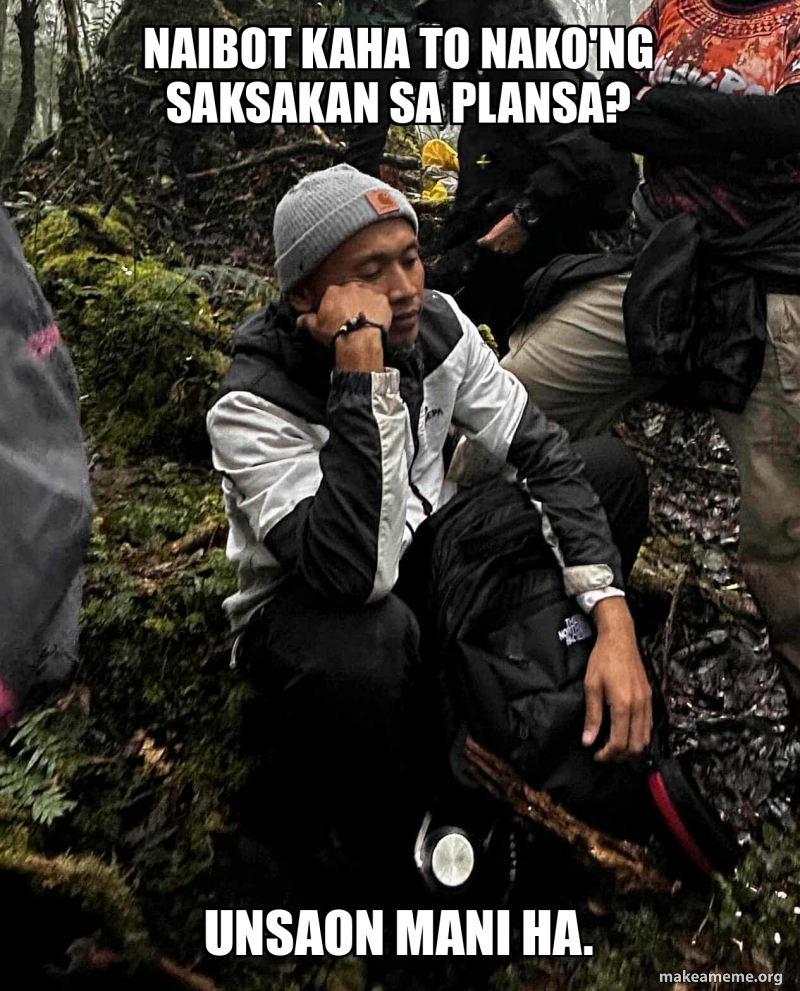 Naibot Kaha to nako'ng saksakan sa plansa? unsaon mani ha. Meme Generator