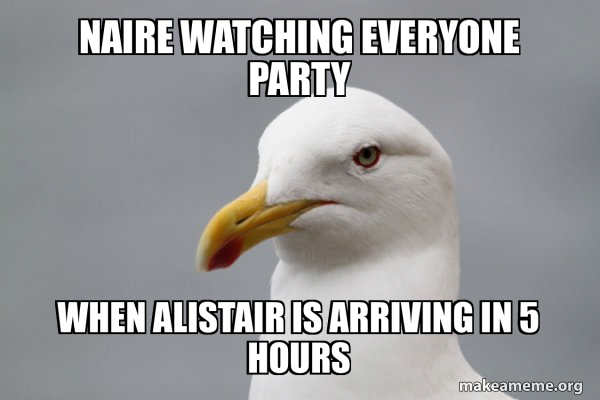 Naire watching everyone party When Alistair is arriving in 5 hours ...
