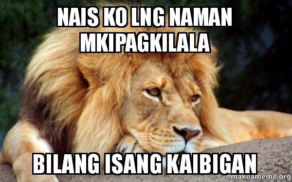 Nais ko lng naman mkipagkilala Bilang isang kaibigan - Confession Lion ...