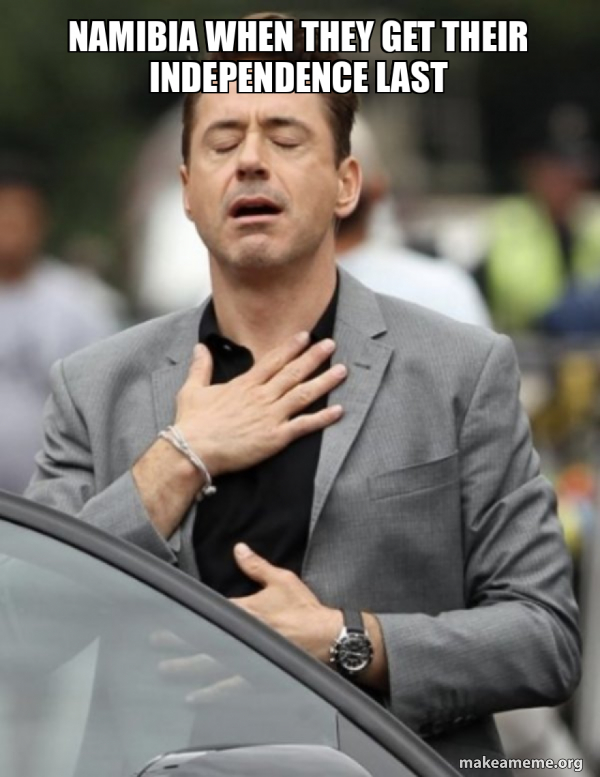 Namibia when they get their independence last - Tony Stark Relief Meme ...