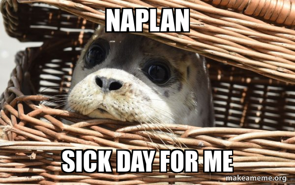 Naplan sick day for me - Impending Doom Seal Meme Generator