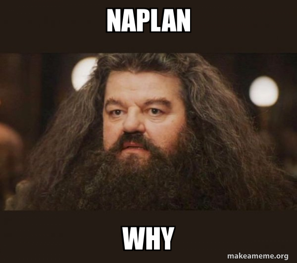 NAPLAN WHY - Hagrid - I should not have said that Meme Generator