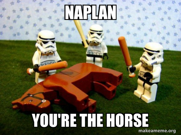 naplan you're the horse - Flogging a Dead Horse Meme Generator