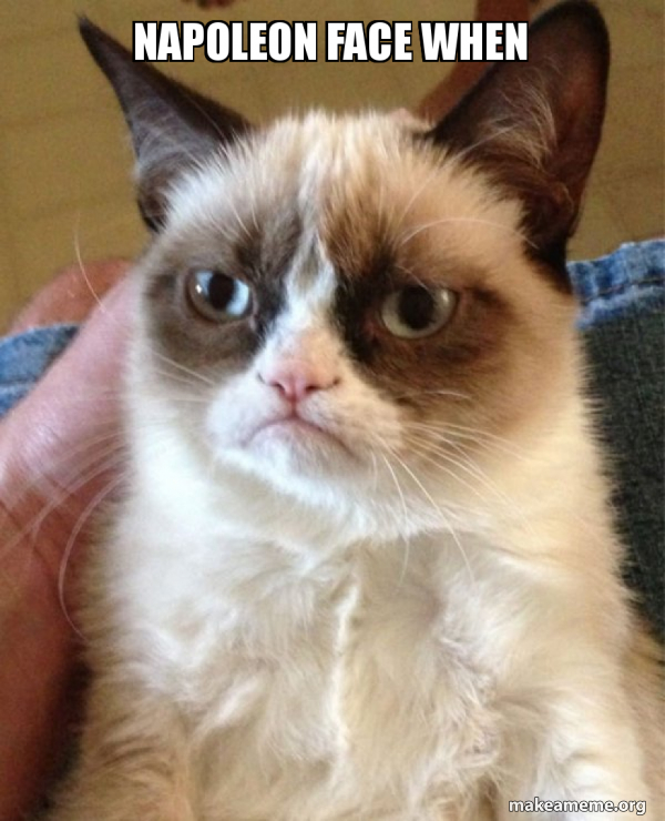 napoleon face when - Grumpy Cat | Make a Meme