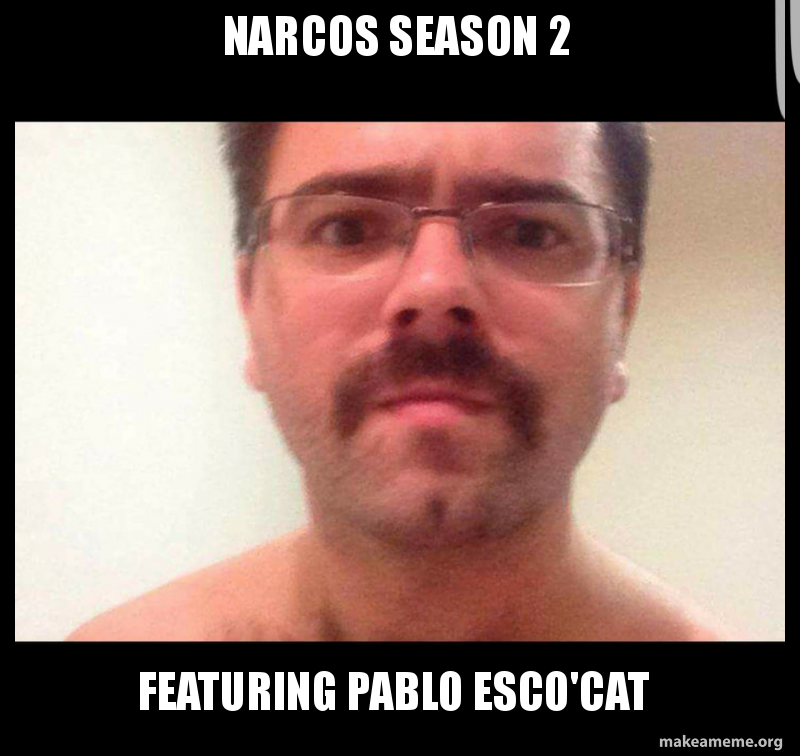NARCOS SEASON 2 FEATURING PABLO ESCO'CAT Meme Generator