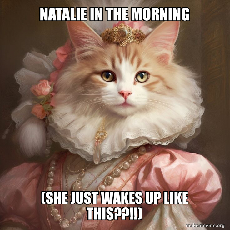 Natalie in the morning (She just wakes up like this??!!) Meme Generator