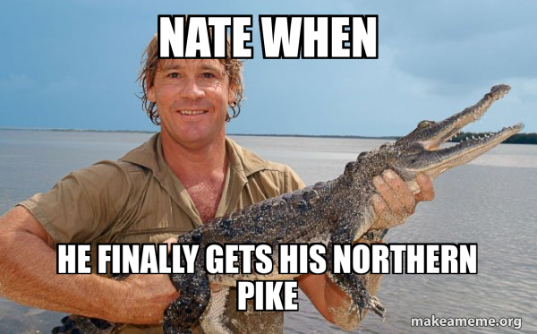 Nate When He finally gets his Northern pike - Steve irwin Meme Generator