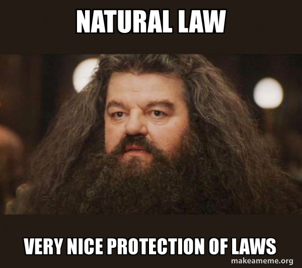 Natural Law Memes Legal Sarcasm On X: "#lawmemes #memes #law