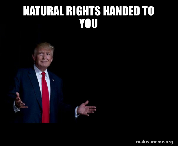 Natural Rights handed to you - Trump Everything is FIne Meme Generator