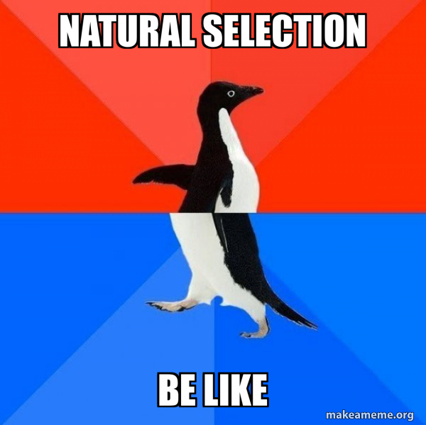 Natural selection be like - Socially Awesome Awkward Penguin Meme Generator
