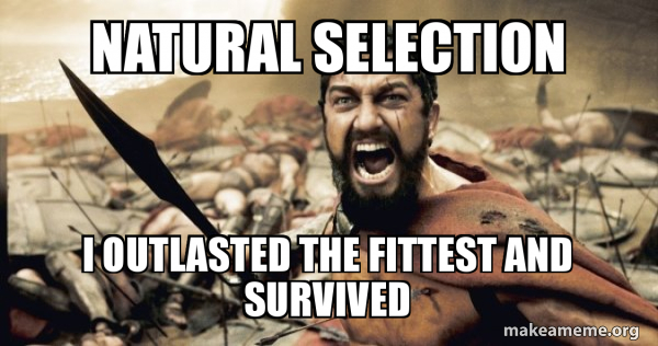 Natural Selection I outlasted the fittest and survived - The 300 Meme ...