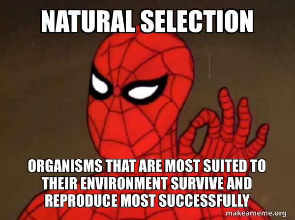 NATURAL SELECTION ORGANISMS THAT ARE MOST SUITED TO THEIR ENVIRONMENT ...