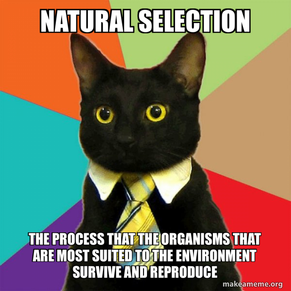 Natural Selection The process that the organisms that are most suited ...