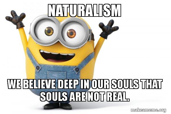 Naturalism Meme Surprised Koala Latest Memes Imgflip