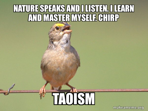 Nature speaks and I listen. I learn and master myself. Chirp Taoism ...