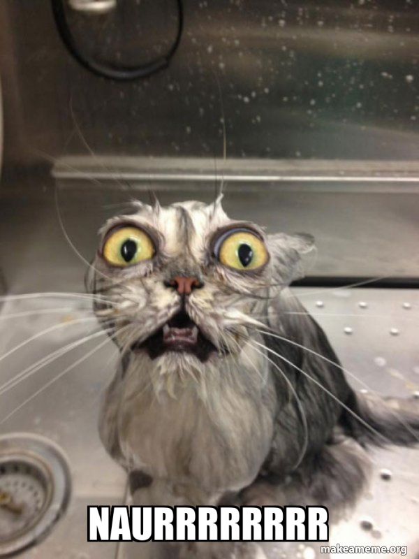 naurrrrrrrr - Cat bath Meme Generator