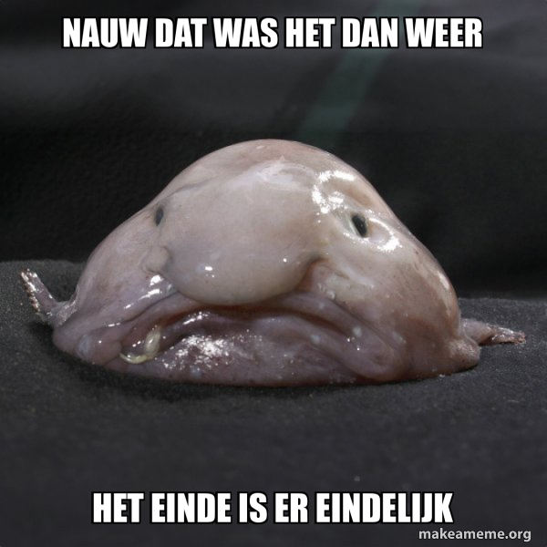nauw dat was het dan weer het einde is er eindelijk - Blobfish Meme ...